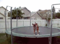 Jump GIFs - Get the best gif on GIFER