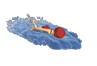 Pool GIFs - Get the best gif on GIFER