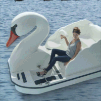 Boat GIFs - Get the best gif on GIFER