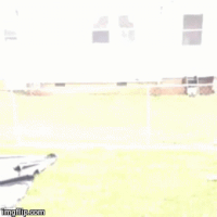 Situation GIFs - Get the best gif on GIFER