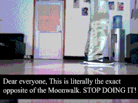 Moron GIFs - Get the best gif on GIFER