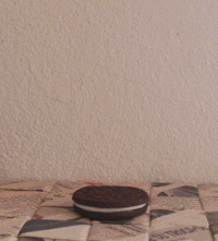 Oreo GIFs - Get the best gif on GIFER