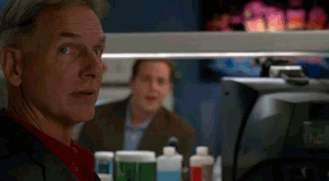 Wtfgibbs GIFs - Get the best gif on GIFER