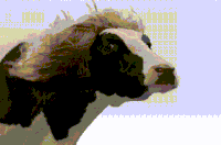 Immigrants GIFs - Get the best gif on GIFER