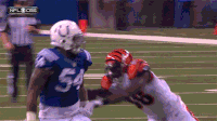 Wildcard GIFs - Get the best gif on GIFER