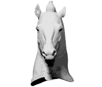 Tri GIFs - Get the best gif on GIFER