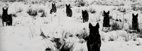 Simon woosterfield GIF - Conseguir el mejor gif en GIFER