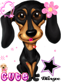 Blingee GIFs - Get the best gif on GIFER