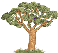 Arbol GIF - Conseguir el mejor gif en GIFER