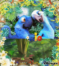 Rio GIF - Conseguir el mejor gif en GIFER
