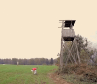 Inverse GIFs - Get the best gif on GIFER