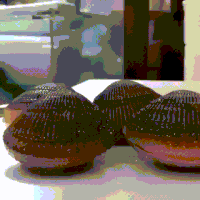 Clam GIFs - Get the best gif on GIFER