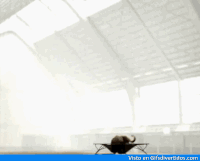 Lieu GIFs - Get the best gif on GIFER