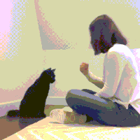 Handshake GIFs - Get the best gif on GIFER