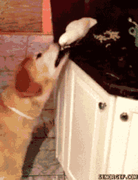 Teamwork GIFs - Get the best gif on GIFER