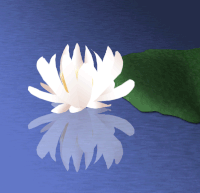 Lily GIFs - Get the best gif on GIFER