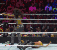 Complete GIFs - Get the best gif on GIFER