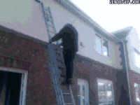 Whoop GIFs - Get the best gif on GIFER