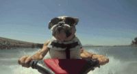 Summer GIFs - Get the best gif on GIFER