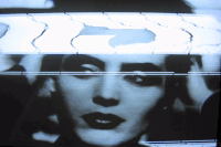 Freedom GIFs - Get the best gif on GIFER