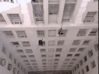 Height GIFs - Get the best gif on GIFER