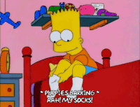 Socks GIFs - Get the best gif on GIFER