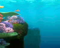 Reef GIFs - Get the best gif on GIFER
