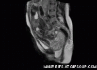 Borns GIFs - Get the best gif on GIFER