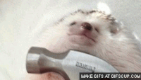 Wreck GIFs - Get the best gif on GIFER