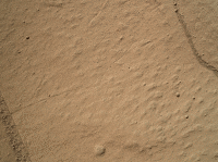 Multimedia GIFs - Get the best gif on GIFER