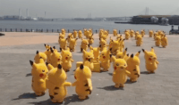 Pika GIFs - Get the best gif on GIFER