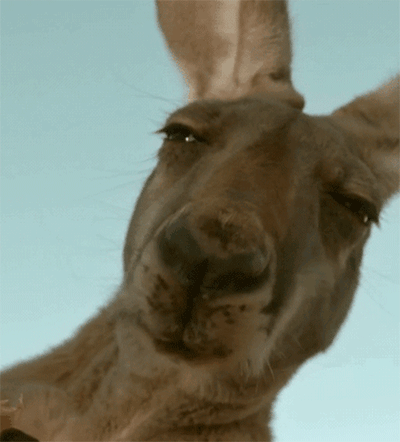 Nolan GIFs - Get the best gif on GIFER