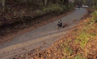 Tricycle GIFs - Get the best gif on GIFER