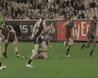 Afl GIFs - Get the best gif on GIFER