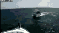 Yacht GIFs - Get the best gif on GIFER