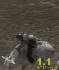 Rodeo GIFs - Get the best gif on GIFER