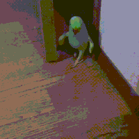 Summon GIFs - Get the best gif on GIFER