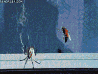 Wasp GIFs - Get the best gif on GIFER