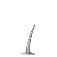 Feder GIFs - Get the best gif on GIFER