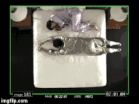 Restless GIFs - Get the best gif on GIFER