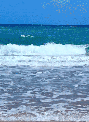 Seafoam GIFs - Get the best gif on GIFER