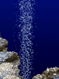 Aquarium GIFs - Get the best gif on GIFER