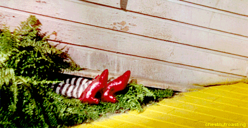 Wicked witch GIFs - Obtenez le meilleur gif sur GIFER