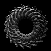 Expanding GIFs - Get the best gif on GIFER