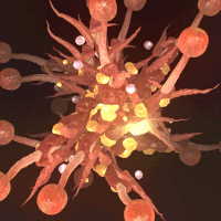 Biologie GIFs - Get the best gif on GIFER