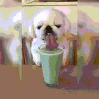 Smoothie GIFs - Get the best gif on GIFER