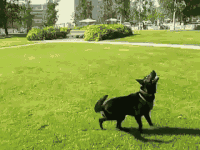 Baton GIFs - Get the best gif on GIFER