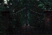 Sublime GIFs - Get the best gif on GIFER