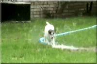Sprinkler GIFs - Get the best gif on GIFER