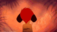 Timon GIFs - Get the best gif on GIFER